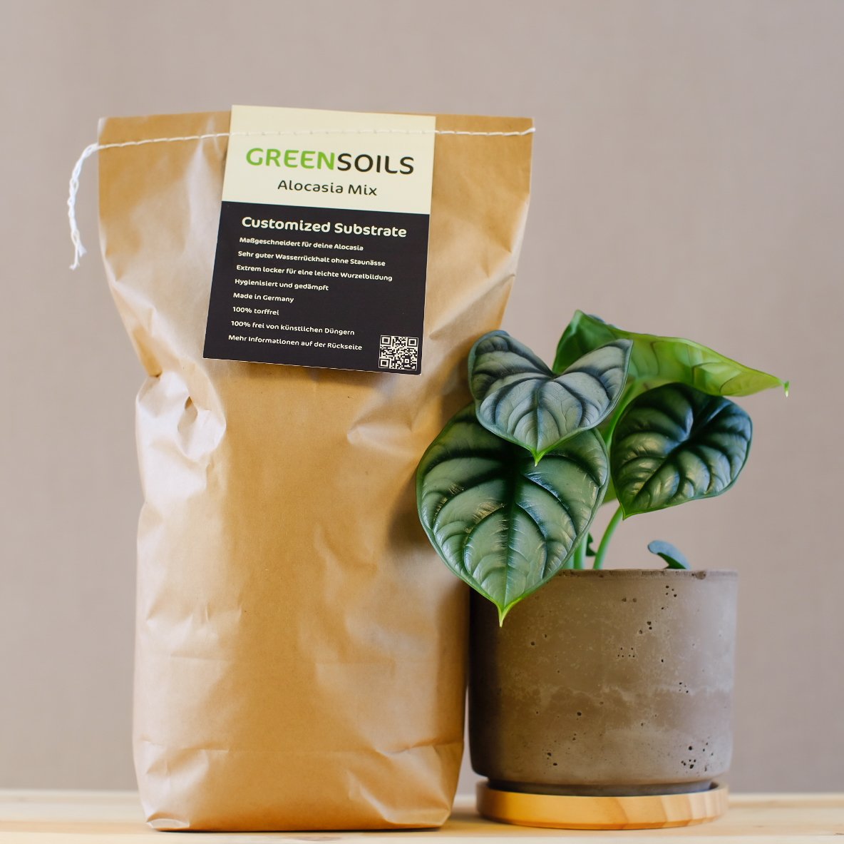 Greensoils Alocasia Mix 4L - Greensoils