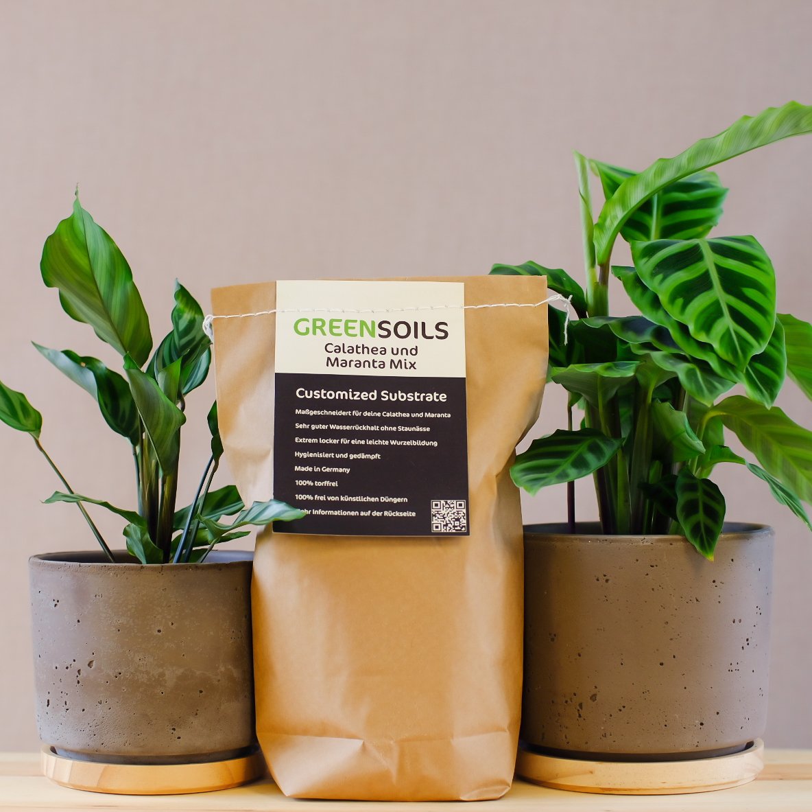 Greensoils Calathea und Maranta Mix 2L - Greensoils